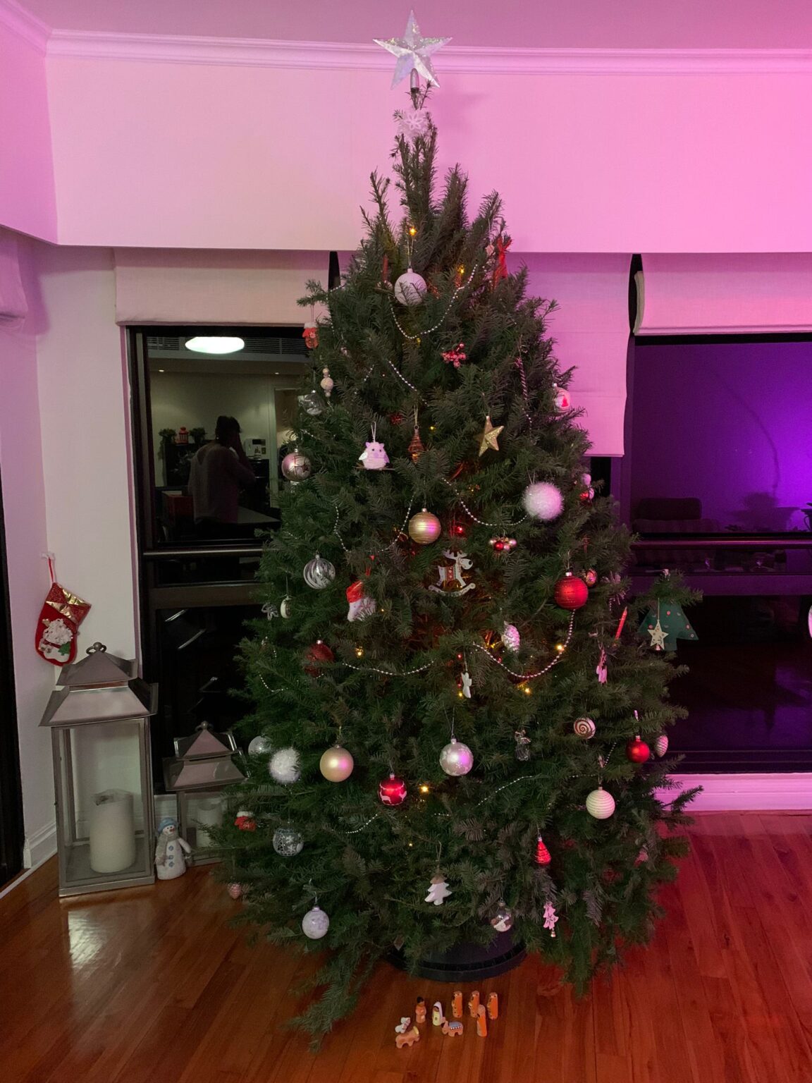 Douglas Fir – Chun Hing Gardening & Landscaping Ltd.